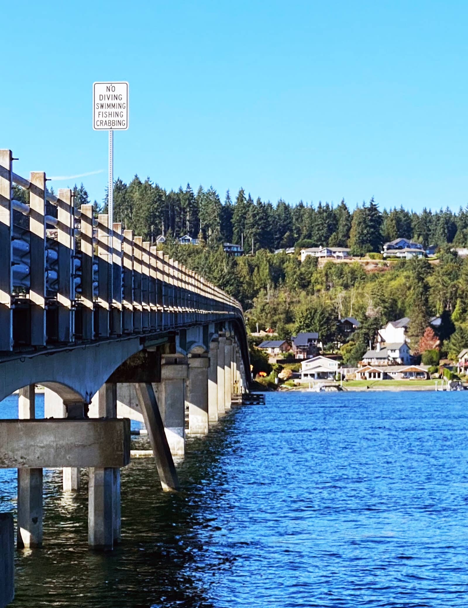 Fox Island Bridge replacement details emerge in Pierce County’s newly ...