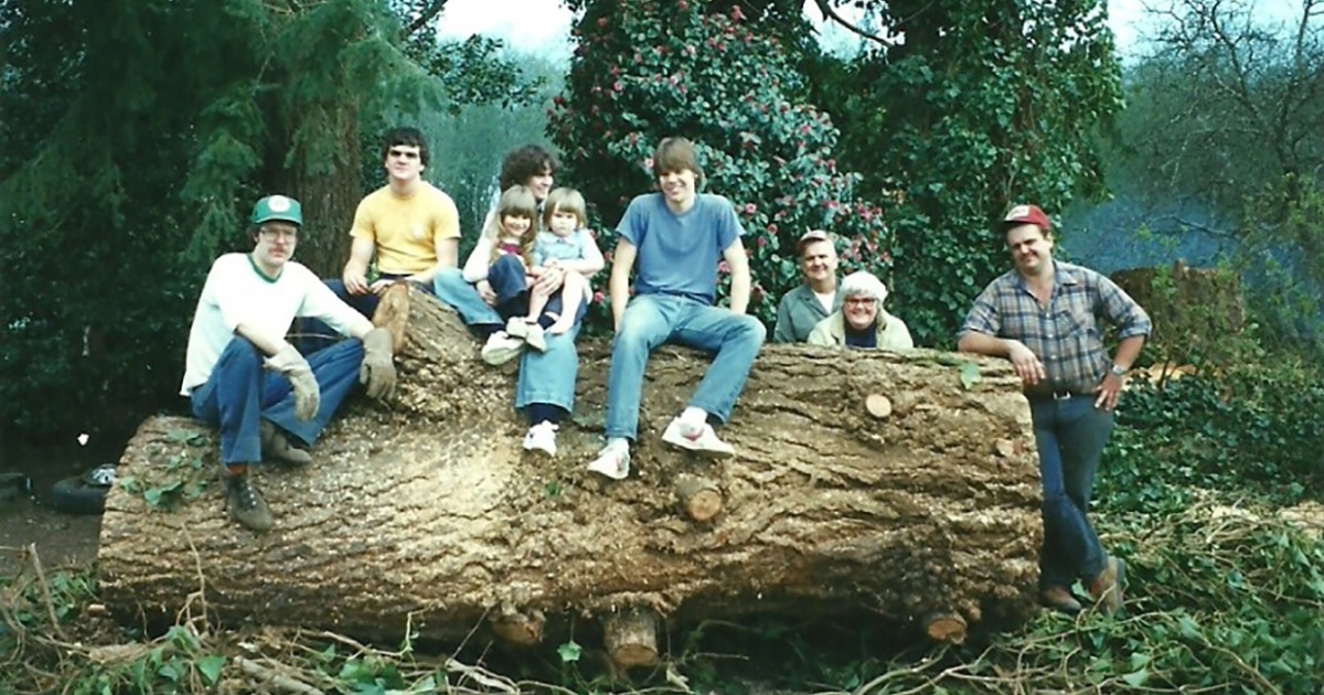 Gig Harbor Now and Then | The big tree the Meyers did fall - Gig Harbor ...