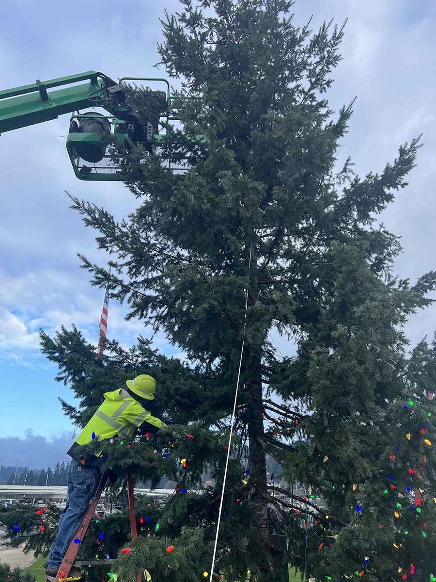 It takes a village to raise a Christmas tree - Gig Harbor Now | A ...