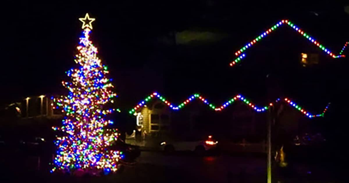 It takes a village to raise a Christmas tree - Gig Harbor Now | A ...