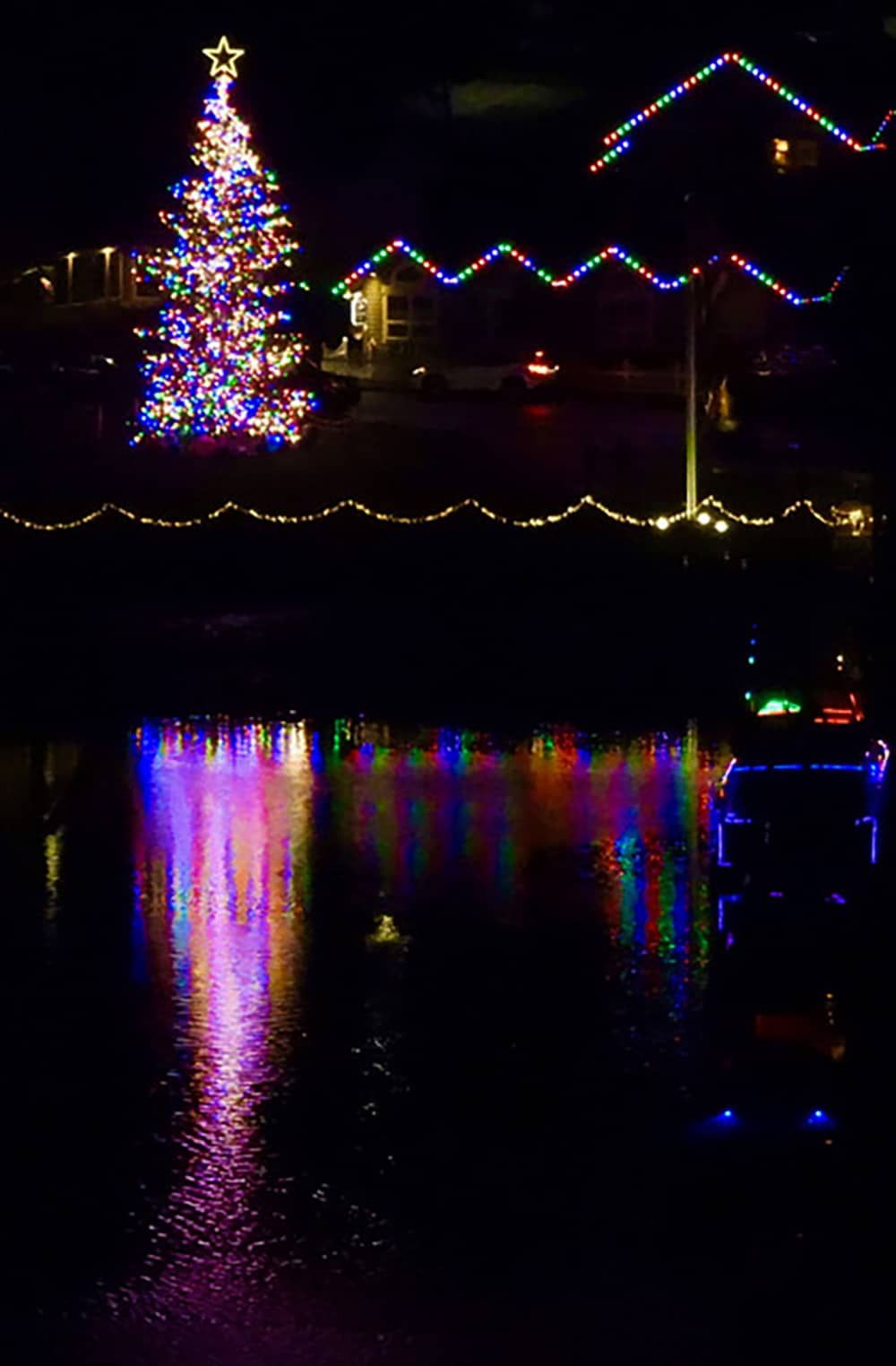 It takes a village to raise a Christmas tree - Gig Harbor Now | A ...