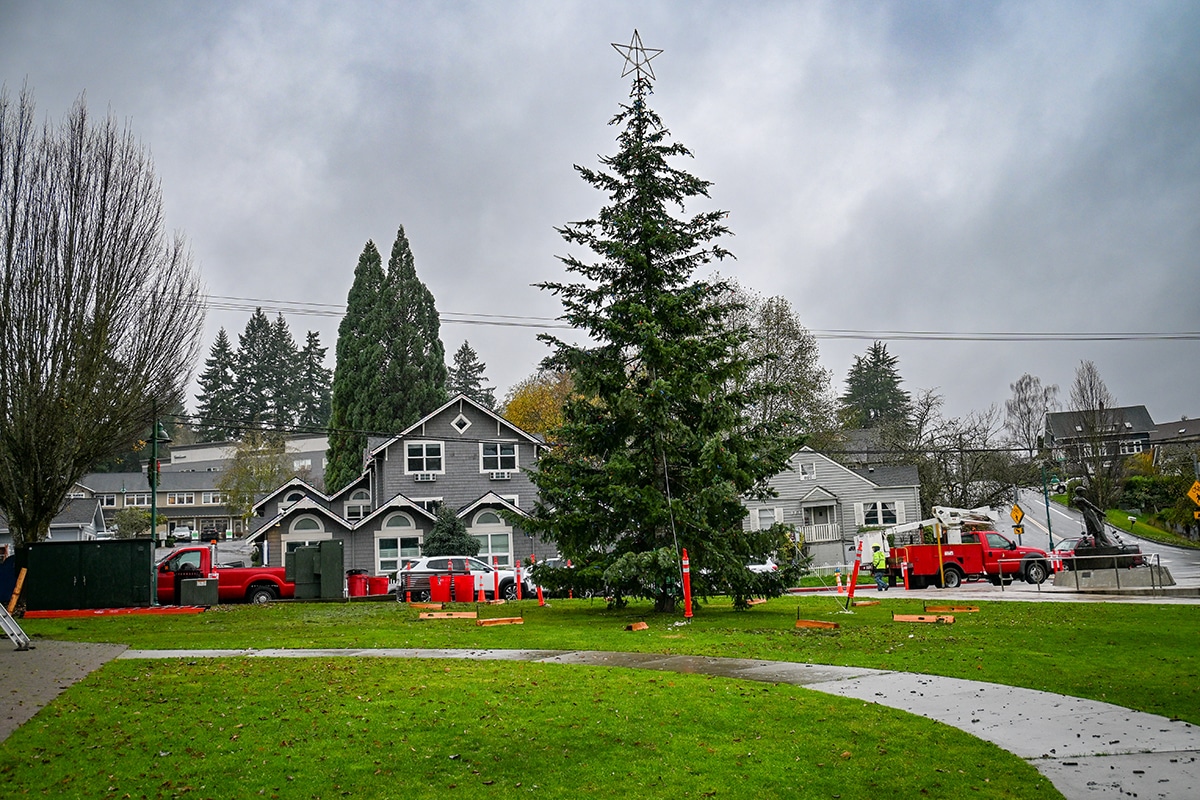 It takes a village to raise a Christmas tree - Gig Harbor Now | A ...