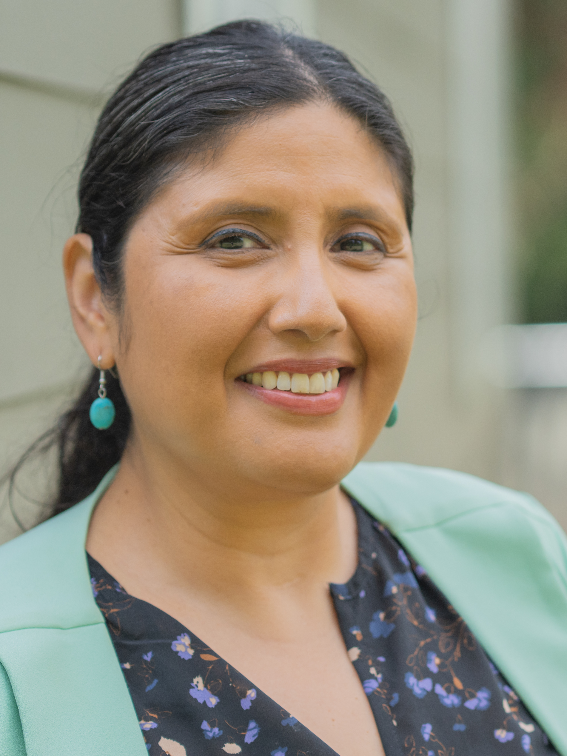 Challengers emerge for both 26th District state representatives - Gig ...